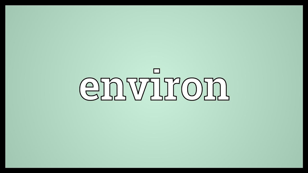 Environ Meaning - YouTube
