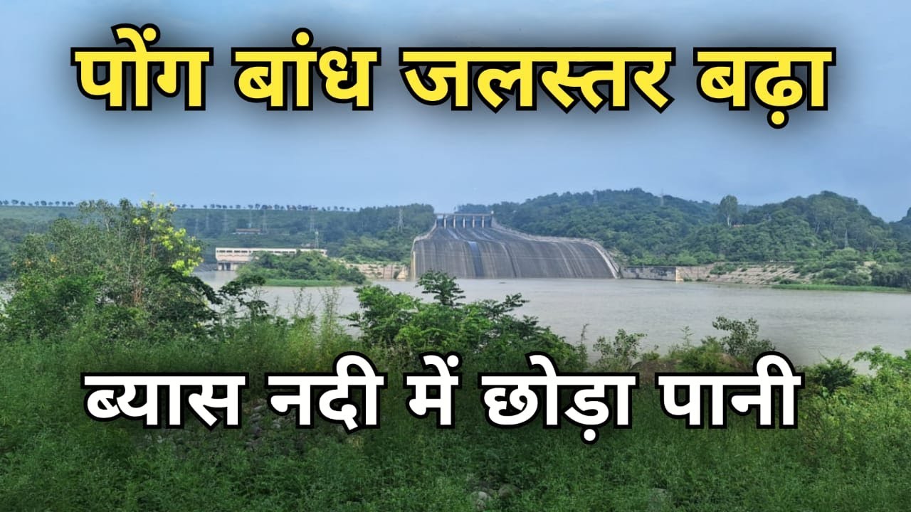 pong dam news || pong dam today water level - YouTube