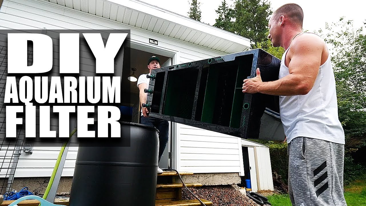 IT WORKS! DIY Aquarium filter complete and fish fed! | The King of DIY ...