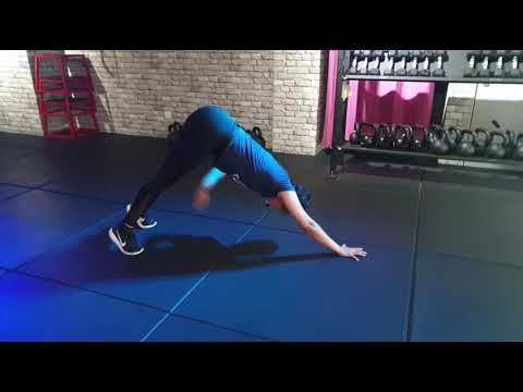 Plank to Pike Toe Touches - YouTube