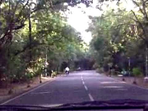 IIT MADRAS CAMPUS DRIVE - YouTube