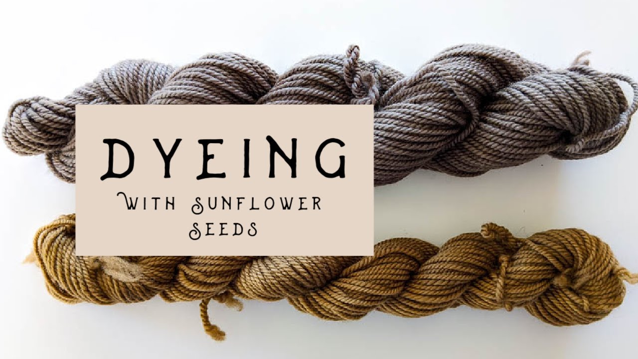 Natural Dyes From Plants: Dyeing with Sunflower Seeds - YouTube