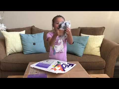 Unboxing Adora Amazing Girl Clothes, Pet, and Kitchen - YouTube