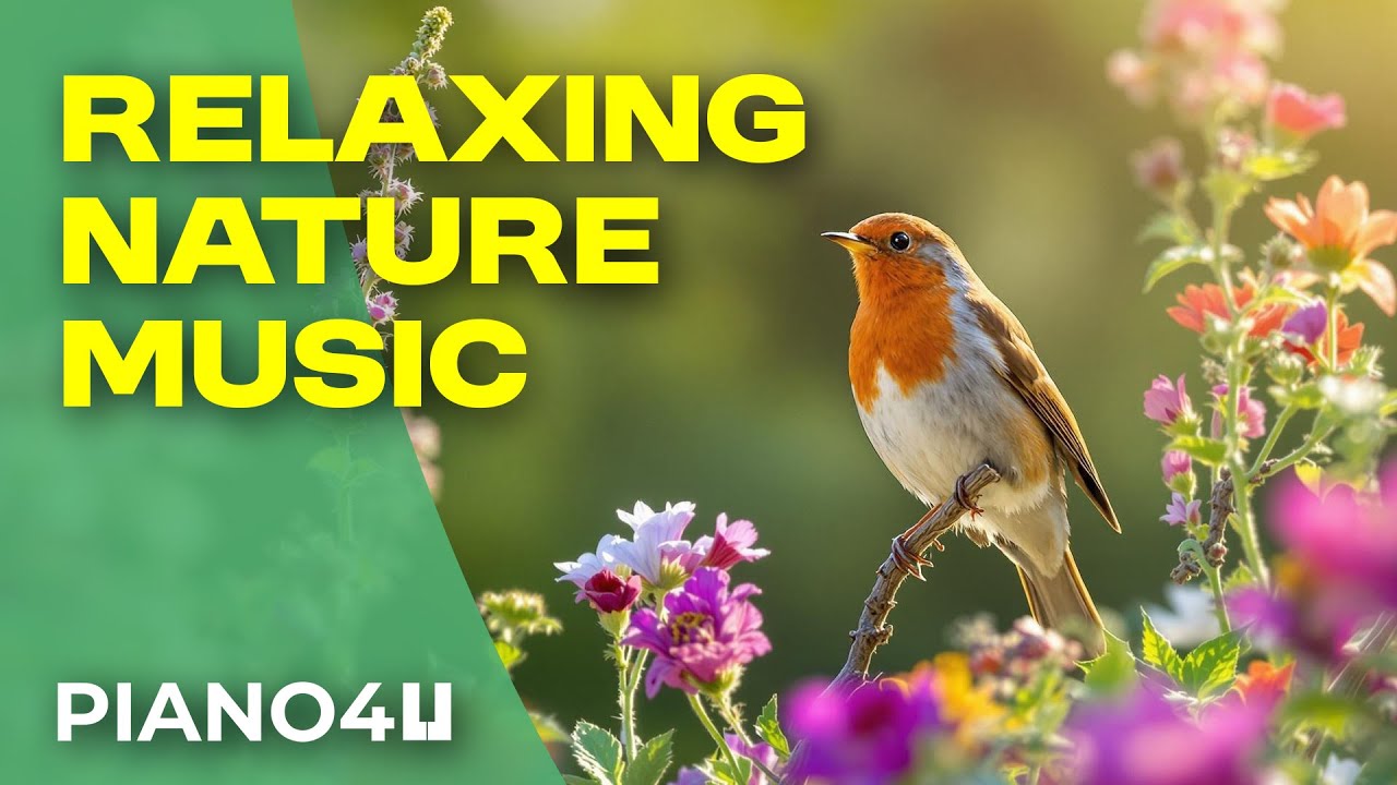 Peaceful Relax Emotional Piano Music with Flowers and Nature images ...