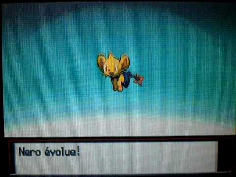 Evolution Lixy chromatique P.R. / shiny Shinx - Heart Gold - YouTube