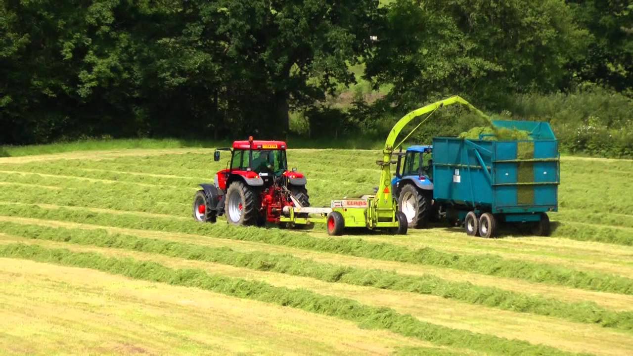 Silage with Claas Jaguar 75. - YouTube