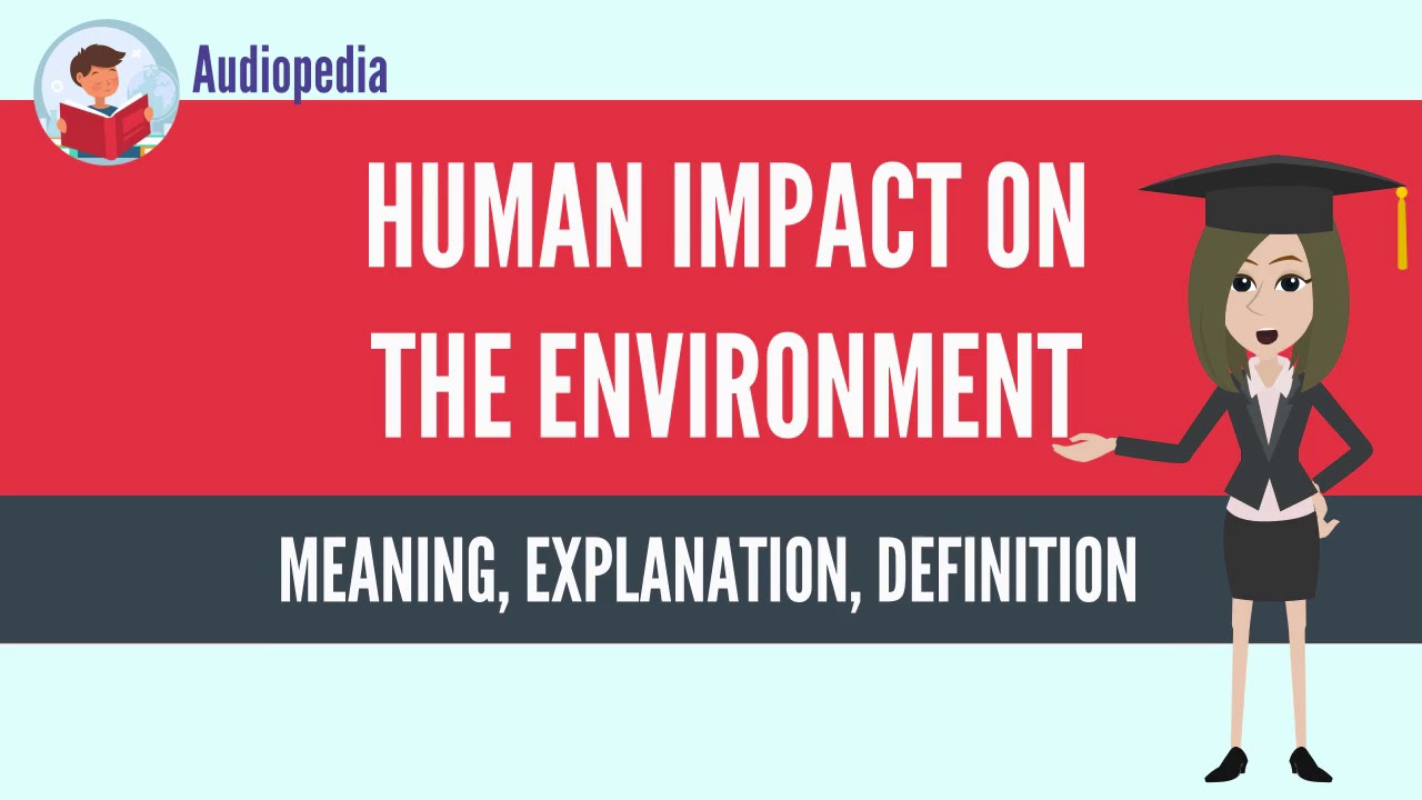 What Is HUMAN IMPACT ON THE ENVIRONMENT? HUMAN IMPACT ON THE ...