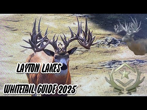 How to Get a GREAT ONE WHITETAIL on Layton Lakes. (Hotspot Map) - YouTube