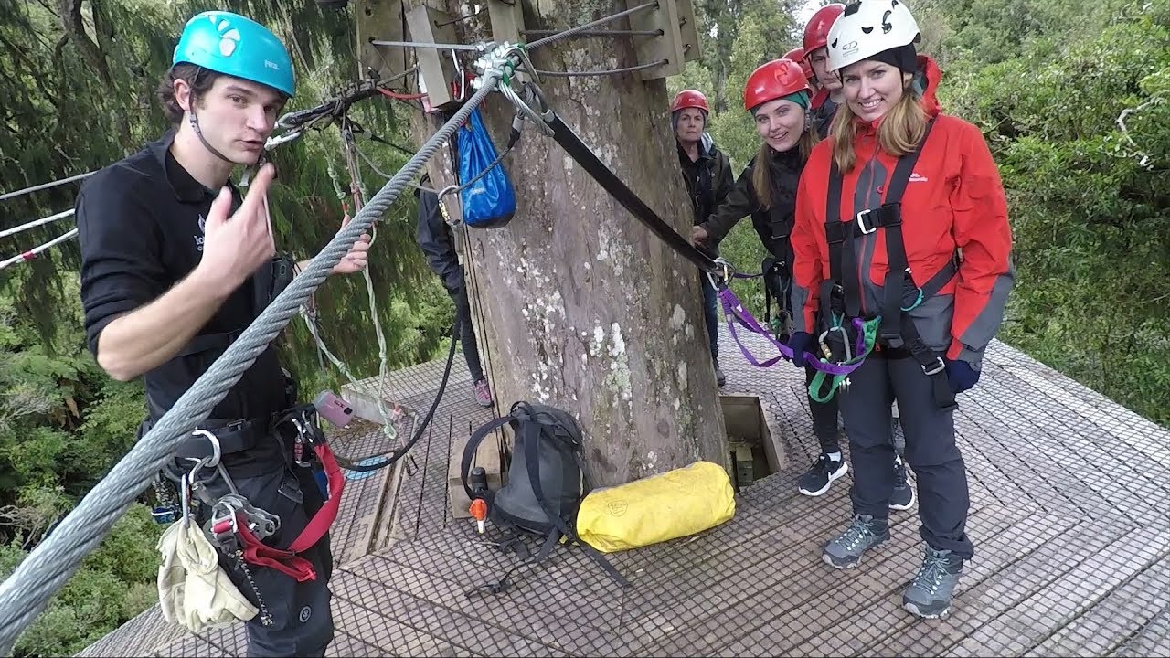 Tree canopy zip-line: near Rotorua New Zealand - YouTube