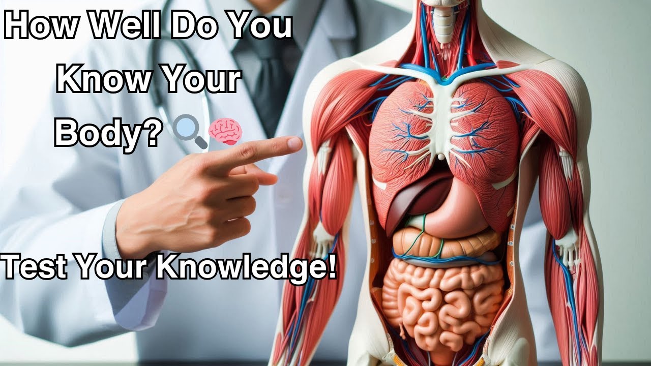 Test Your Knowledge! 🔍 10 Fun and Challenging Human Anatomy Quiz ...