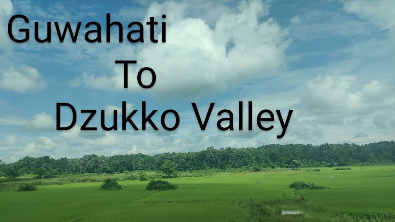 Dzuko Valley Trek || Camping || Nagaland || Kohima - YouTube
