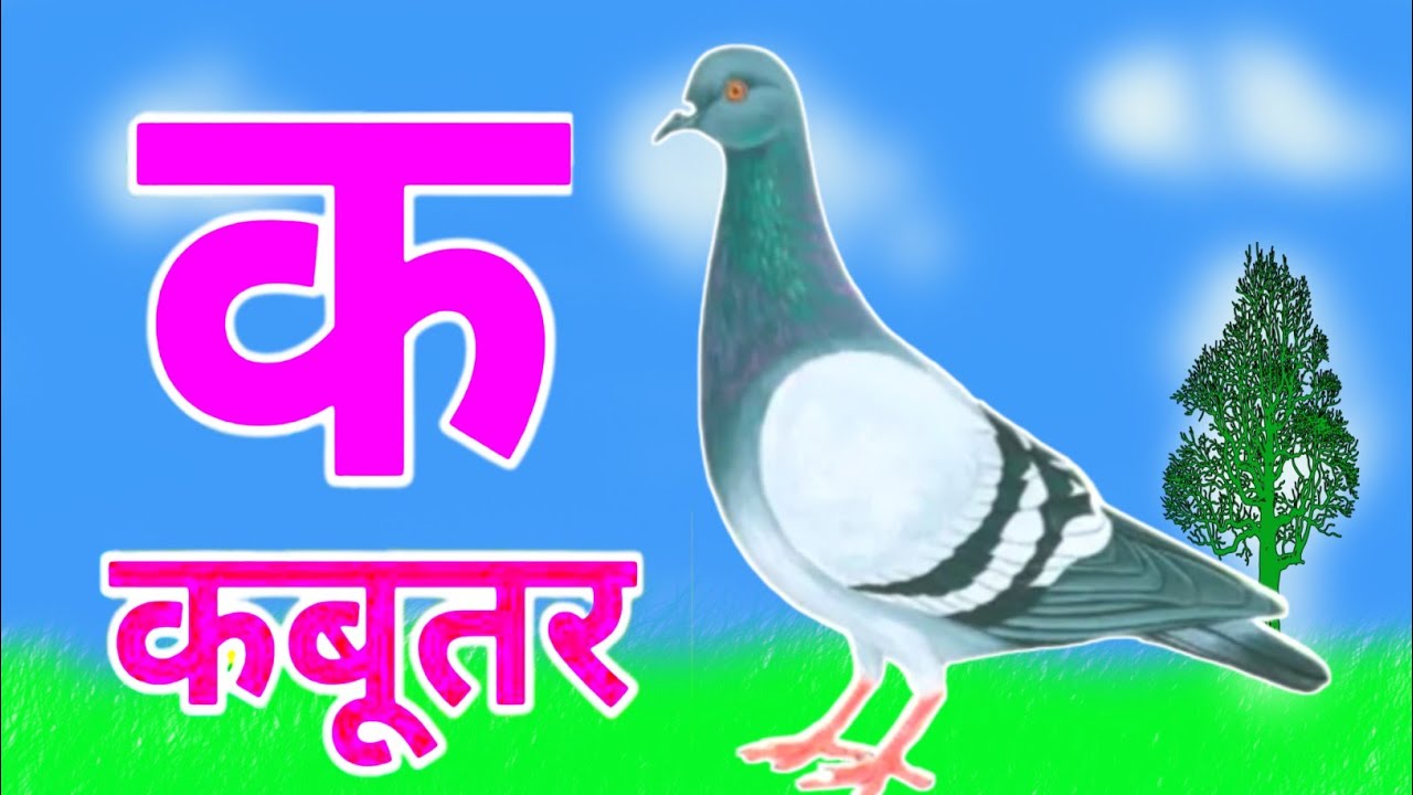 ka se kabutar kha se khargosh ga se gamla gha se ghadi 123456 #kidssong ...