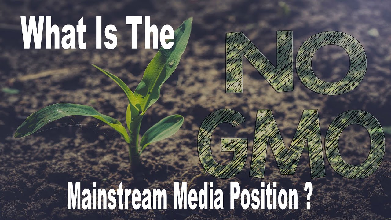 What Is The Mainstream Media Position On GMO's? by Sheldon Krimsky ...