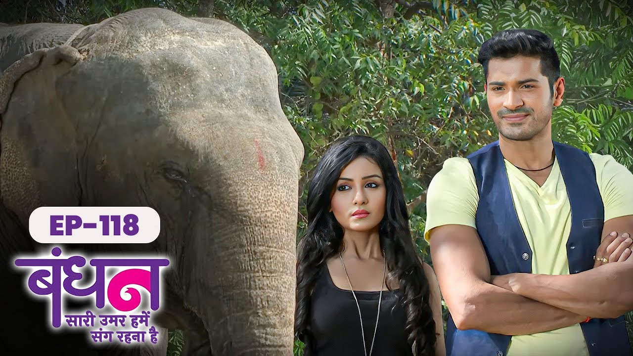 Bandhan | Full EP - 118 | Chhavi Pandey, Mrunal Jain, Sudesh Berry ...
