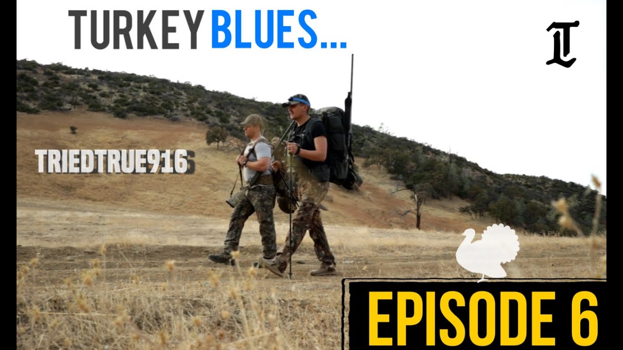 California Fall Turkey Hunt. Episode 6 #triedtrue916 #turkeyhunting ...