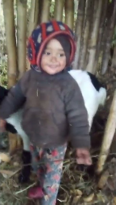 Cute kid playing with Goat😘 - YouTube