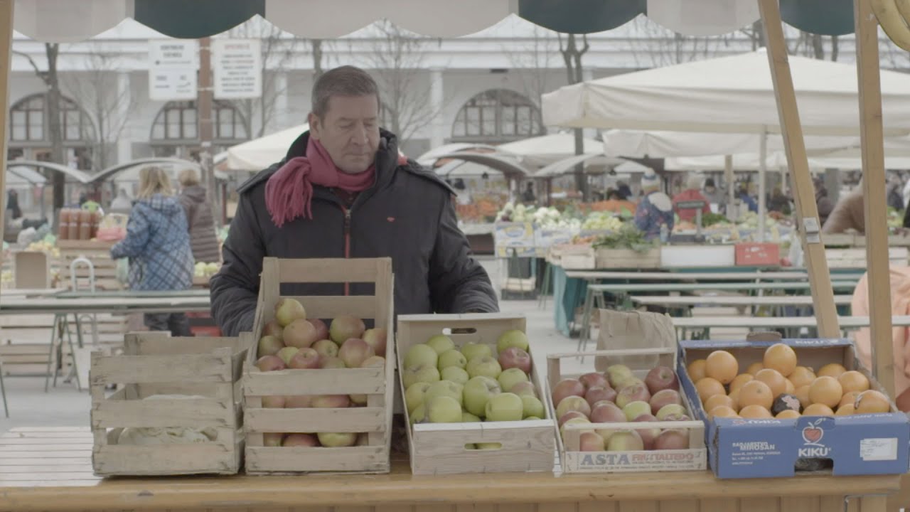 PLES LIMON (Lemon Dance) - YouTube