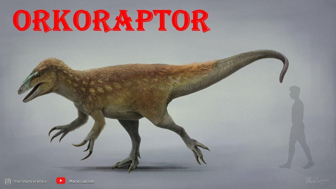 orkoraptor - YouTube
