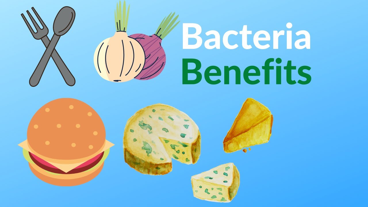 importance of bacteria in food industry - YouTube
