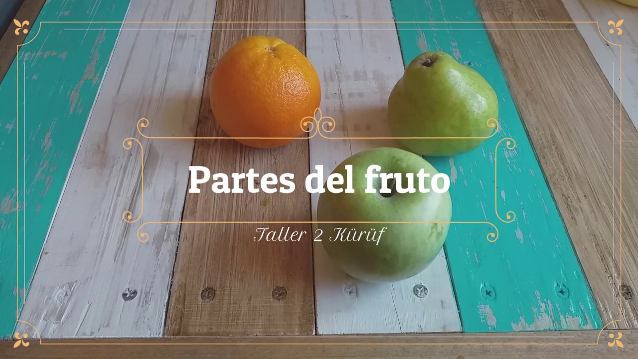 Partes del fruto - YouTube