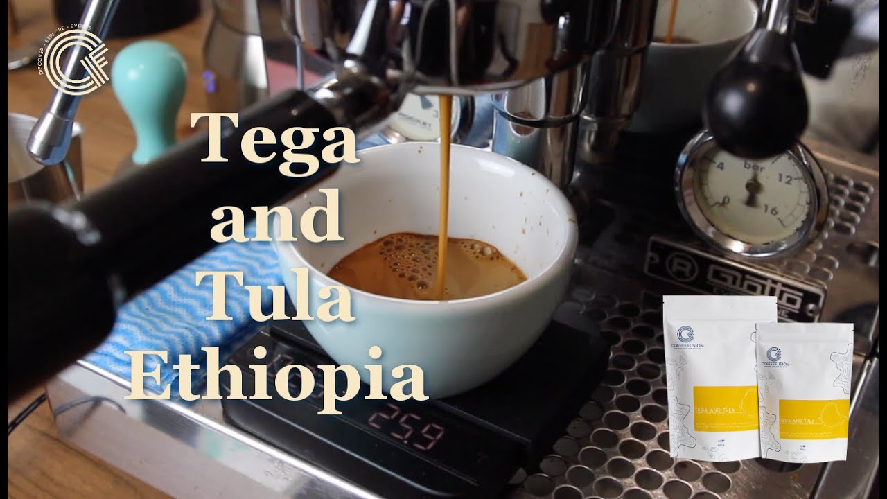 Tega and Tula - an exciting change to coffee from Ethiopia. - YouTube