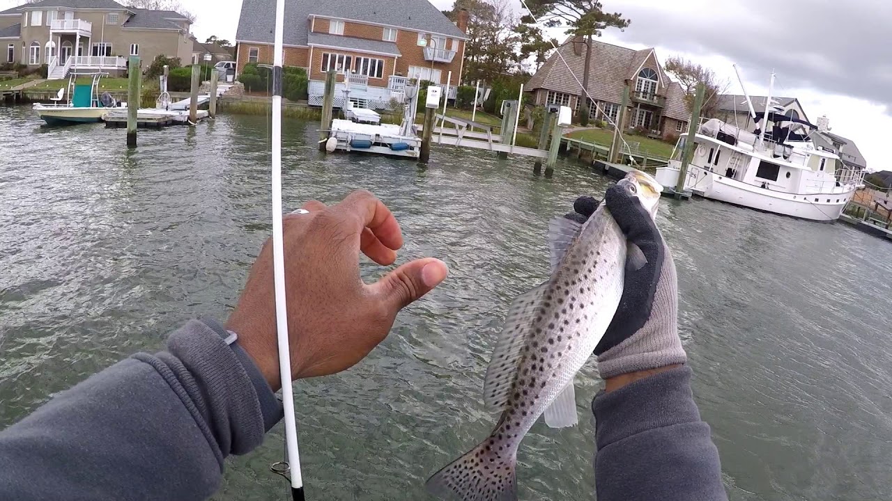 Rudee Inlet Fishing Speckle Trout Part 2 - YouTube