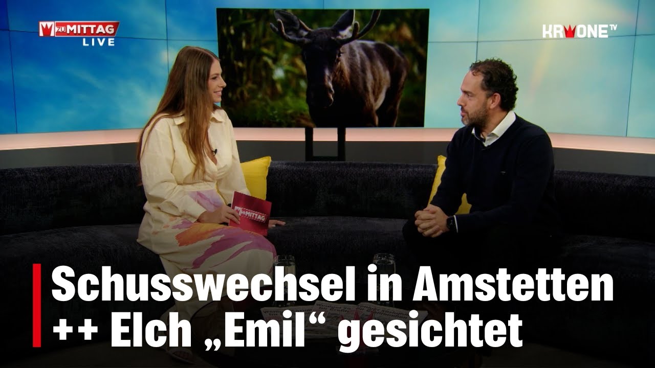 Schusswechsel in Amstetten ++ Elch „Emil“ gesichtet | KRONE ZU MITTAG ...
