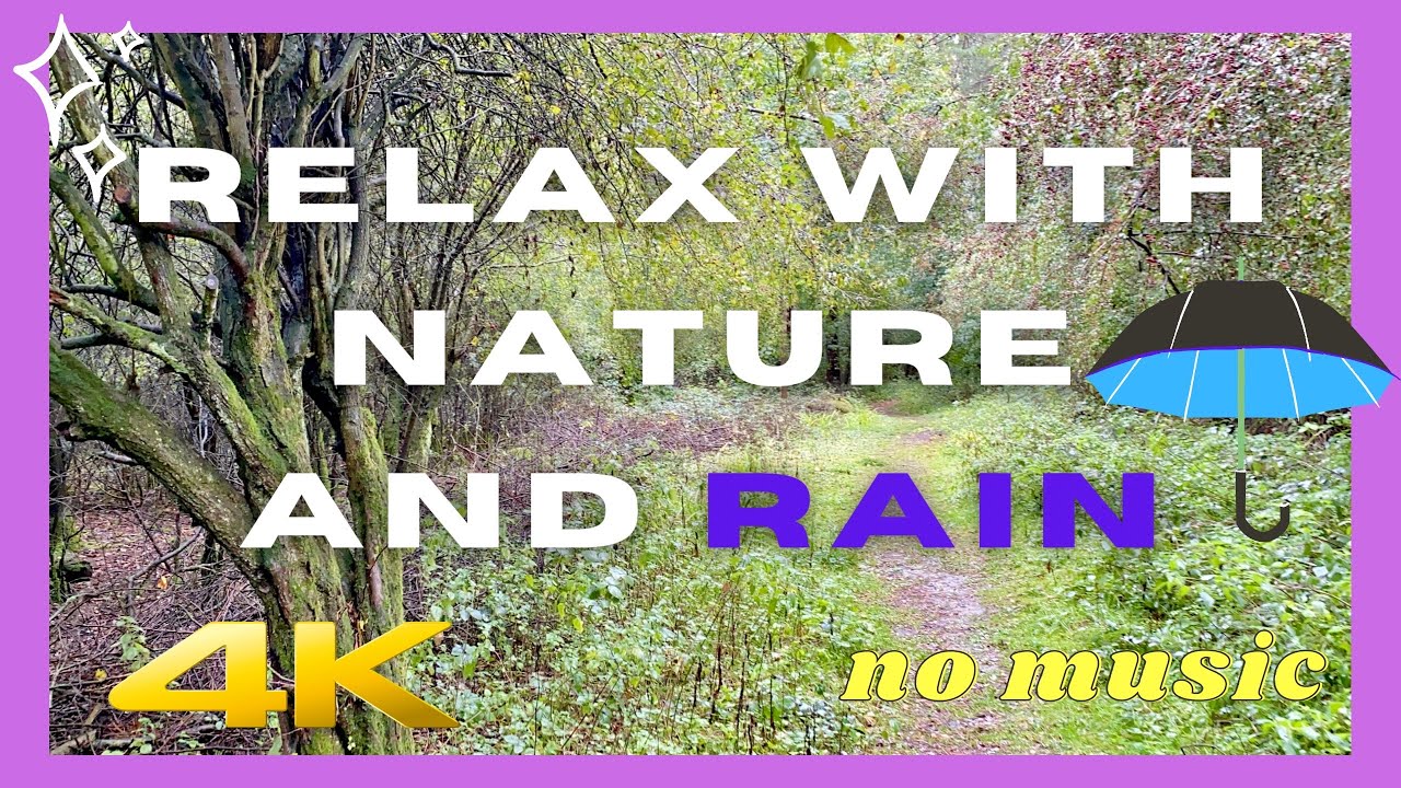 Relax with nature and rain | No Music | Phyllis Currie Nature Reserve ...