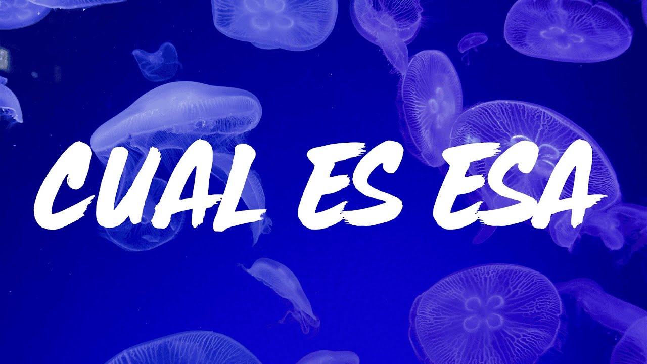 Feid, Pirlo - CUAL ES ESA (Letra/Lyrics) - YouTube