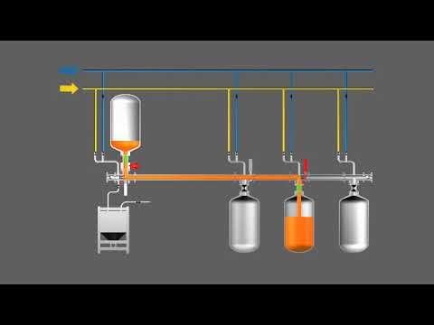 IQ - Zwei-Molch-System - YouTube