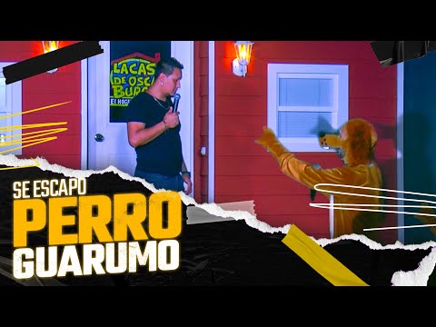 Se escapo El Perro Guarumo | Pepe Lara | El Show de Oscar Burgos
