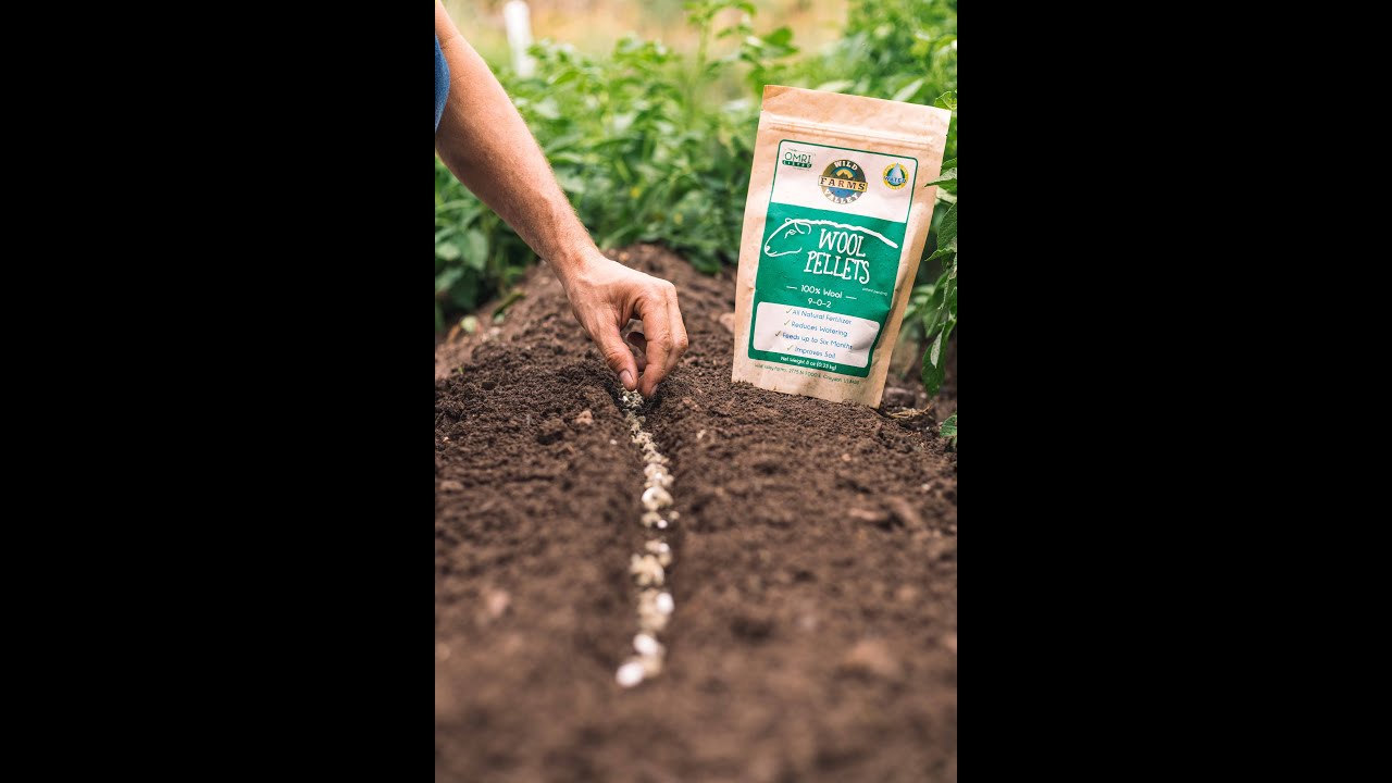 How to apply wool pellets - YouTube