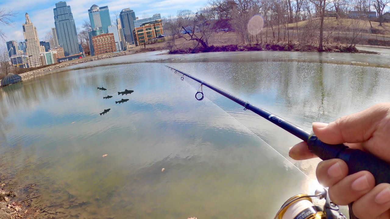 Fishing Urban Kansas City Pond For Hungry Trout - Catch and Cook - YouTube