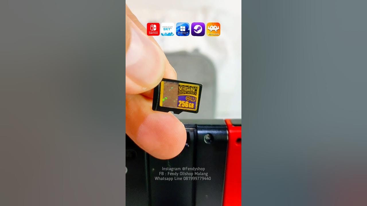 Cara Cfw nintendo switch tanpa tanam chip bisa windows steam os | kiriman sidoarjo jawa timur ...