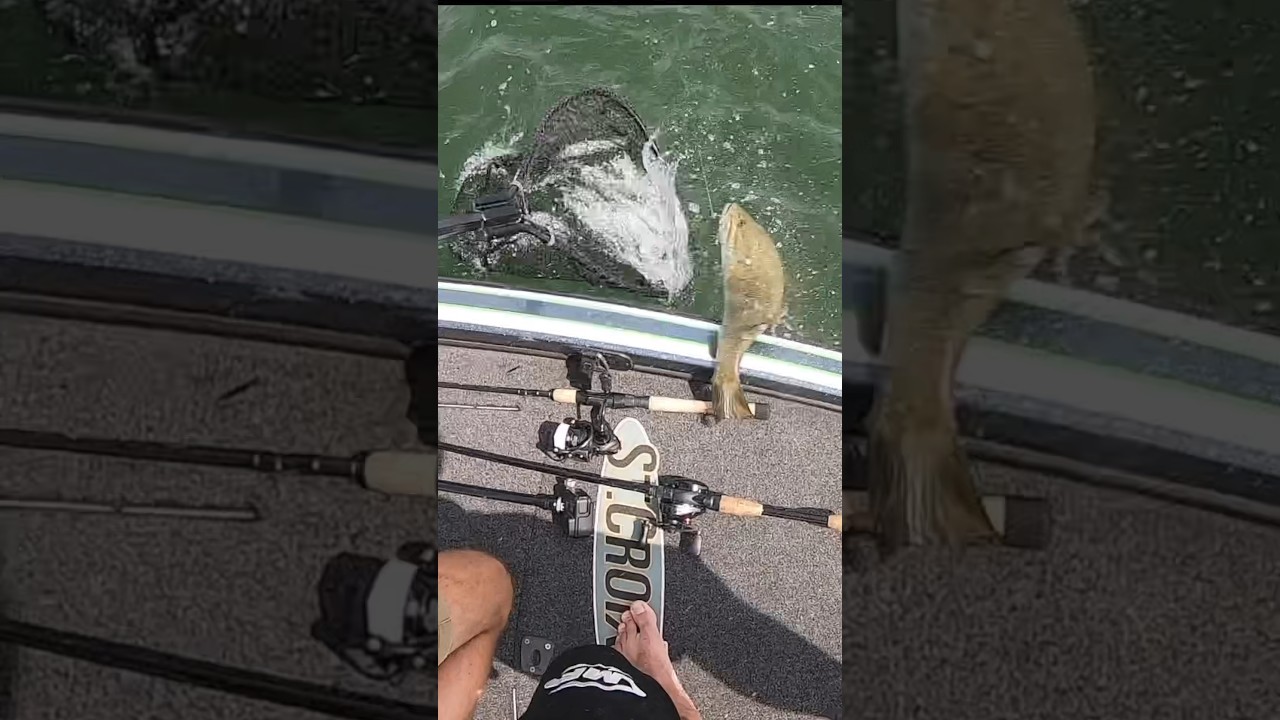 CRAZY FISH JUMPS INTO THE NET! - YouTube