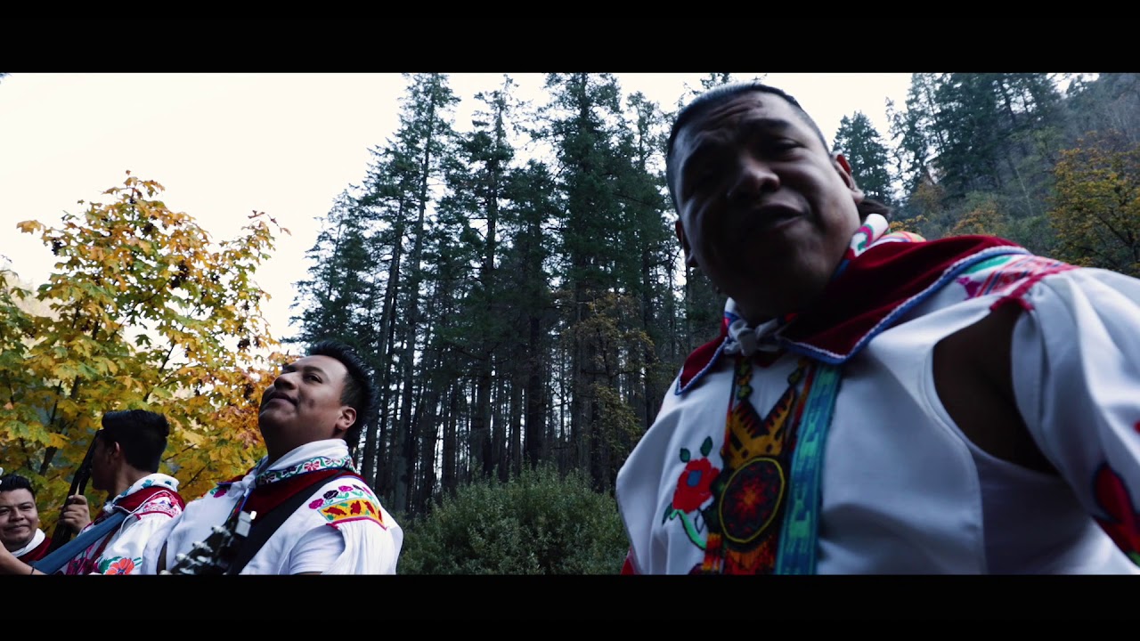 Huichol Musical - Mi Princesa Y Tu Rey (Video Oficial) - YouTube