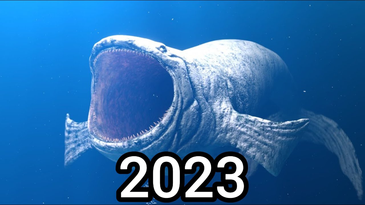 Evolution of The Bloop - YouTube