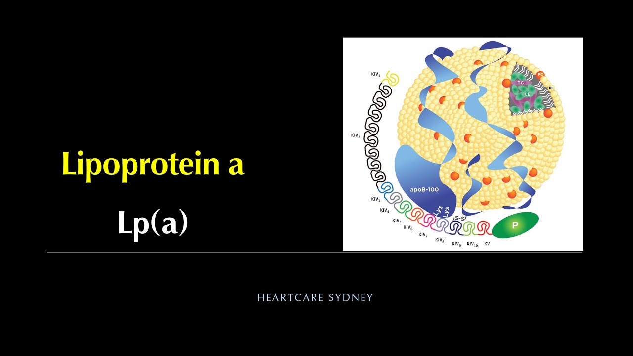 Lipoprotein a or Lp(a): know your Lp(a) level - YouTube