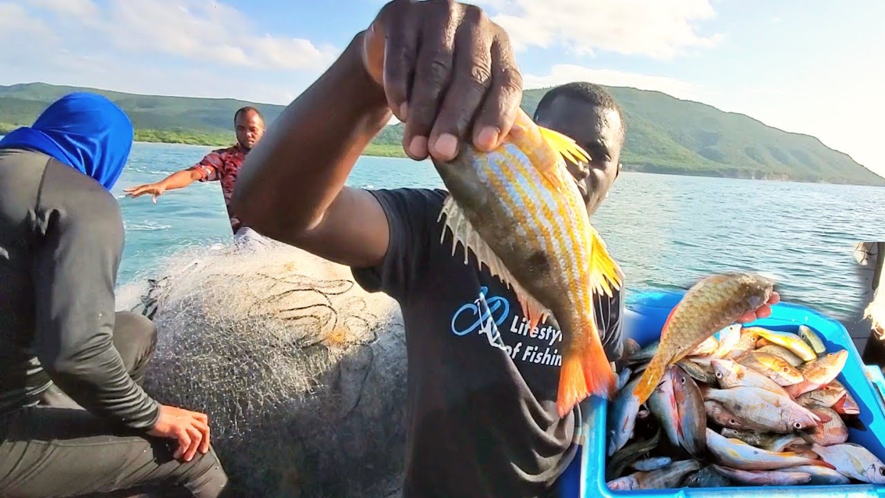 pen and beat net fishing in open water catching snapper - YouTube