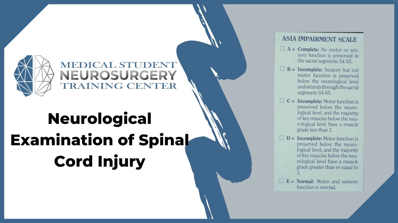 Neurological Examination of Spinal Cord Injury - YouTube