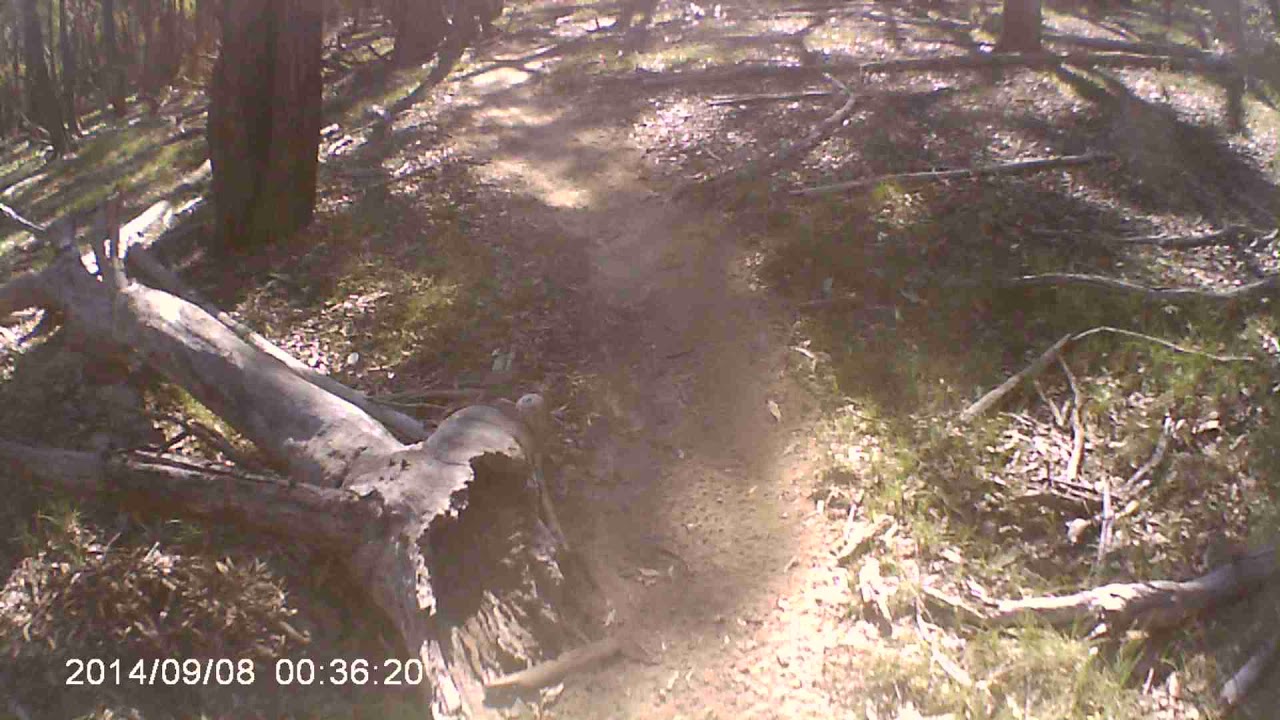 Roseberg State Forest 1 line trails-2019 - YouTube