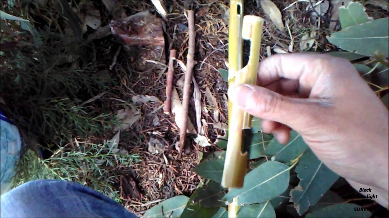 Survival trap in action...How to make... Carrying trap... Sopravvivenza ...