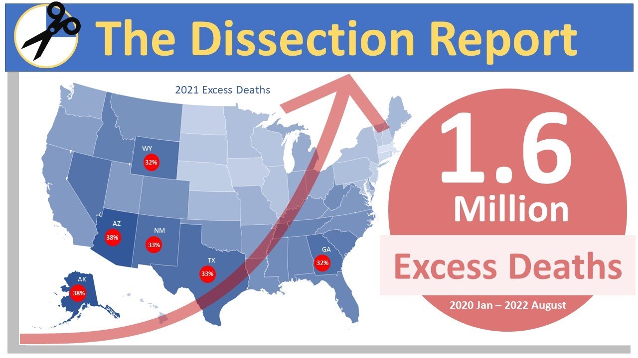 US Excess Deaths Deep Dive - YouTube