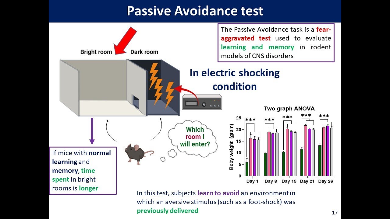 How to select test, analyze, explain data on weight, passive avoidance ...
