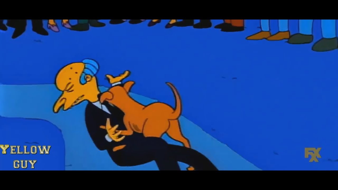 The simpsons - Mr. Burn was attacked by animals ! - YouTube