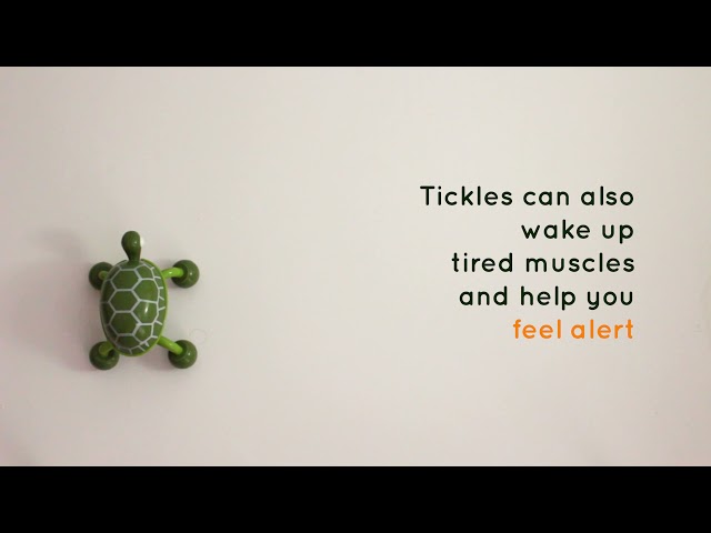 Tickling Turtle
