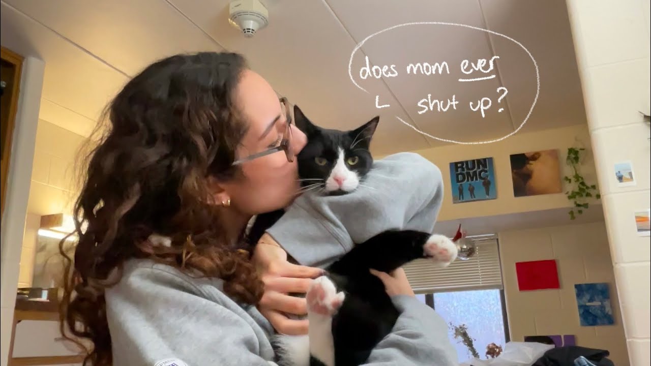 holy yap sesh about 2025 goals - YouTube