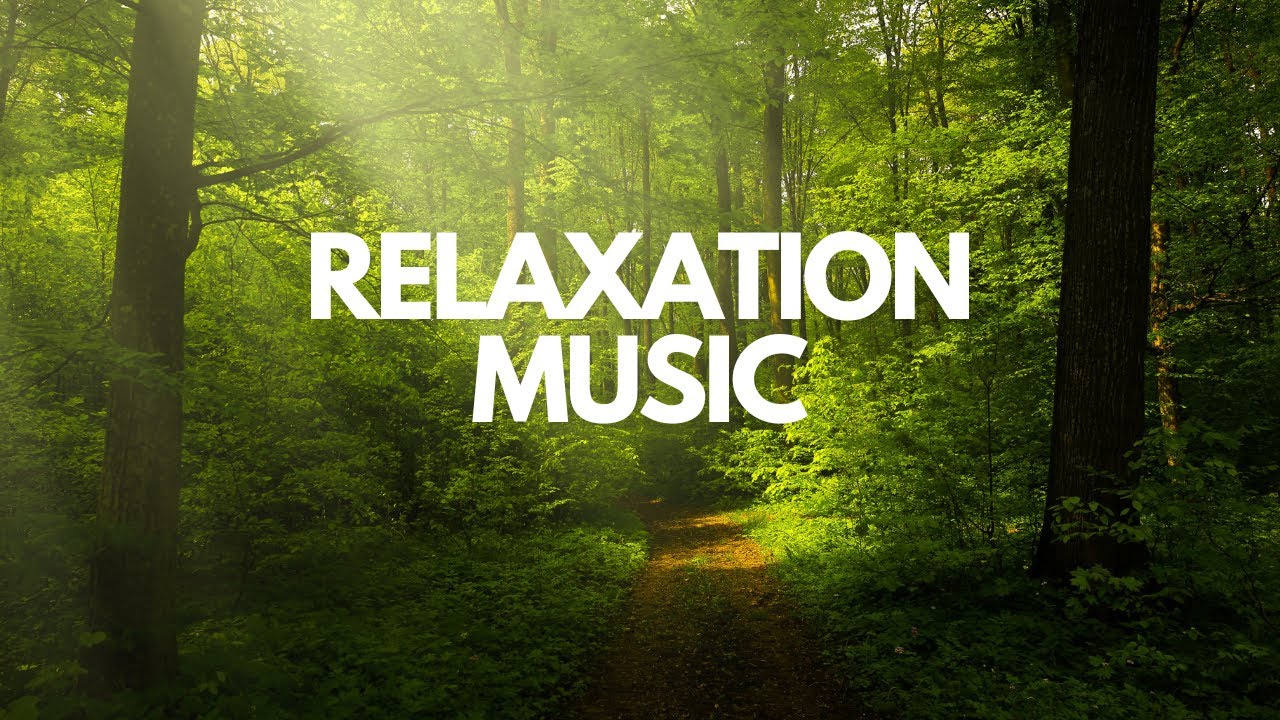 Relax and Unwind with Calming Nature Sounds - The Perfect Relaxation ...