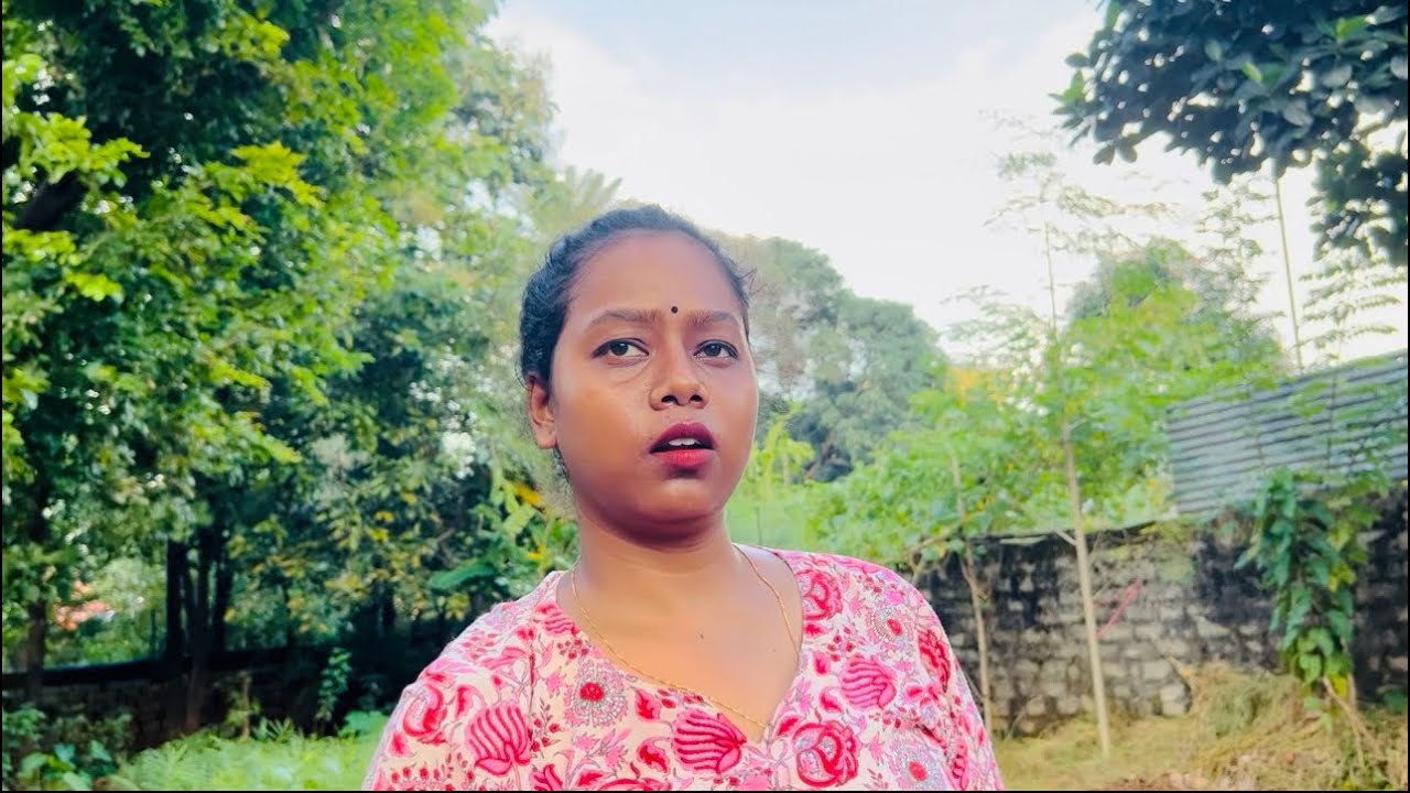 Aha Tamatar Bade Mazedaar 🍅 Baari Me Lagaye Tamatar Ka Pawdha Aur Sabji ...
