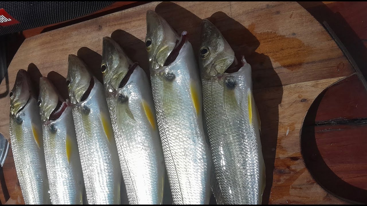 Simple Whiting Rig For off the Beach (Plus never fail Technique) - YouTube